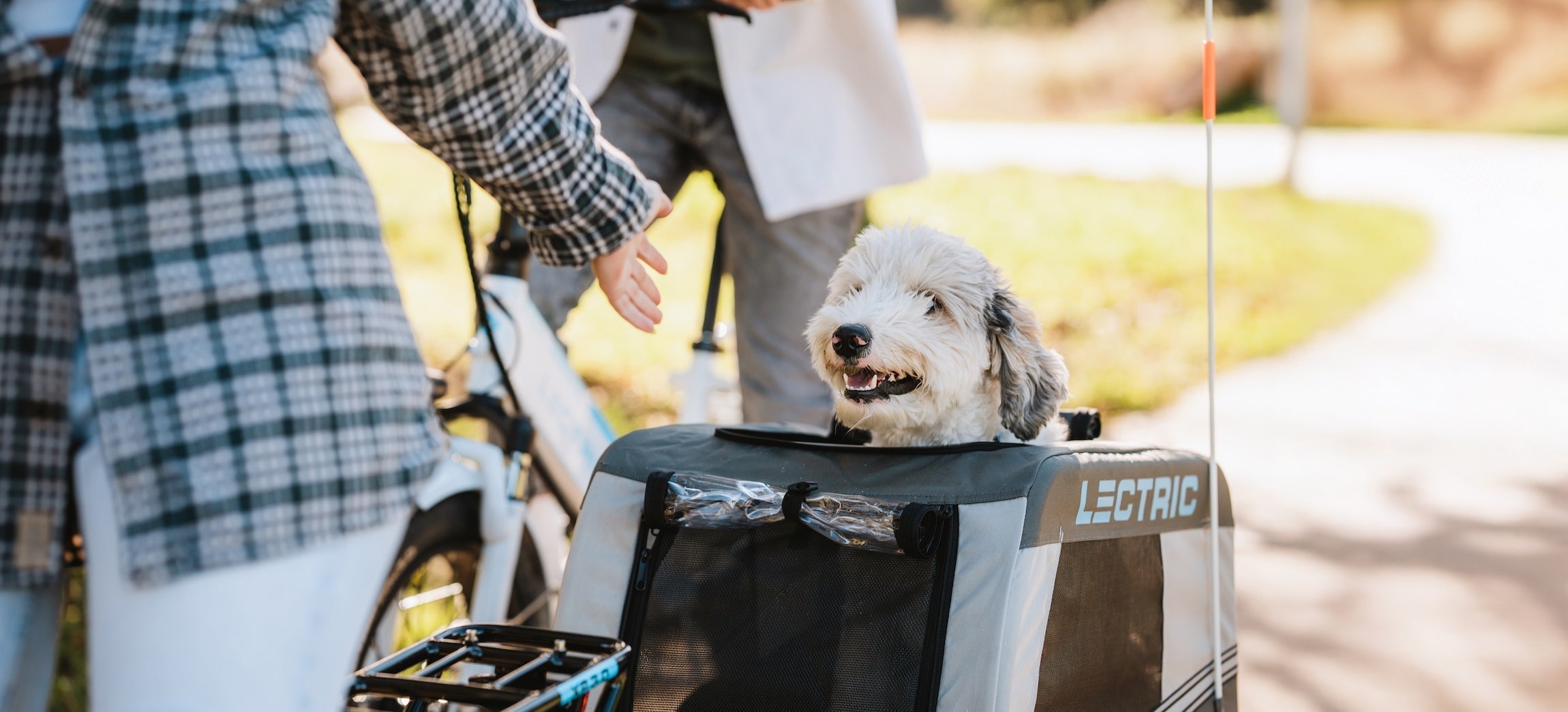 Pedaling with Pets: An eBiker’s Guide to Furry Copilots – Lectric eBikes®
