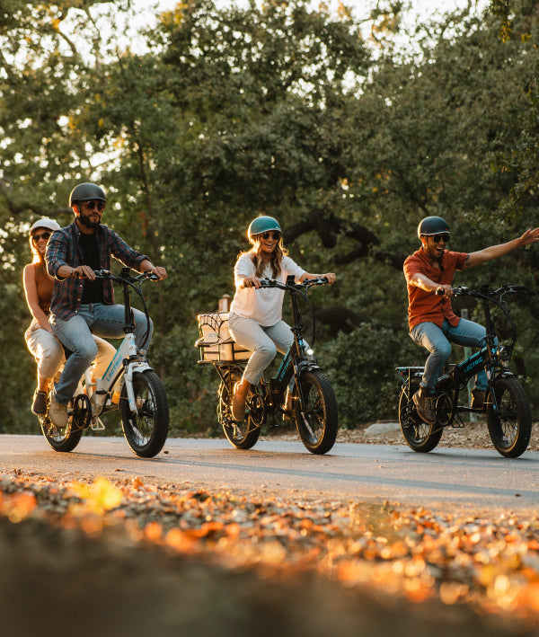 About Us – Lectric eBikes®